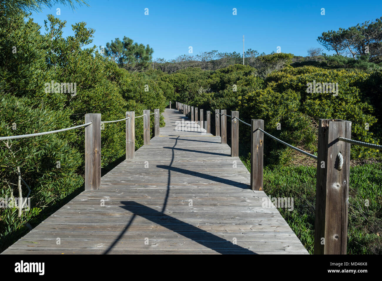 Wooden walkway through woodland hi-res stock photography and images - Alamy