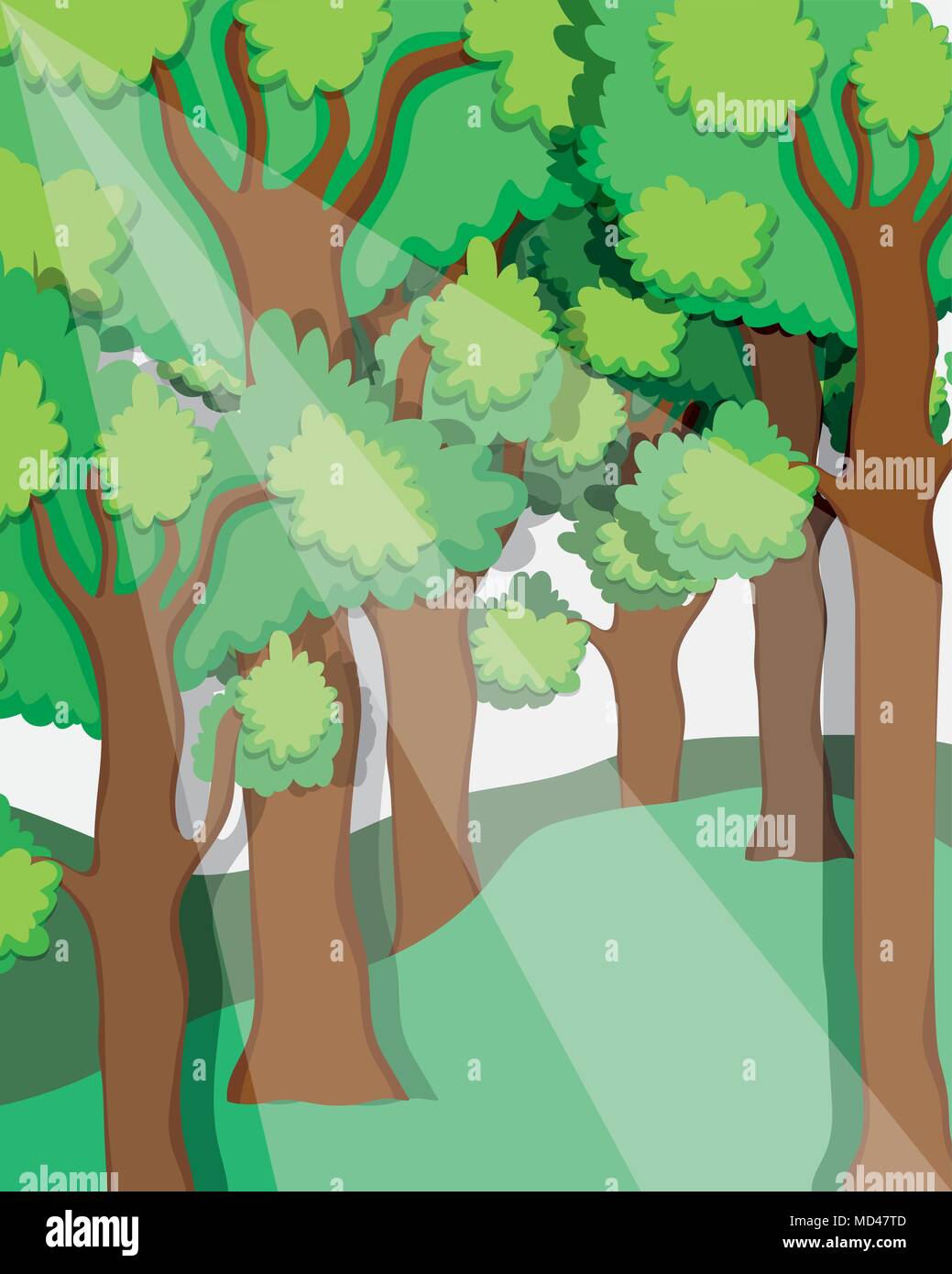 Beautiful forest scenery Stock Vector Image & Art - Alamy