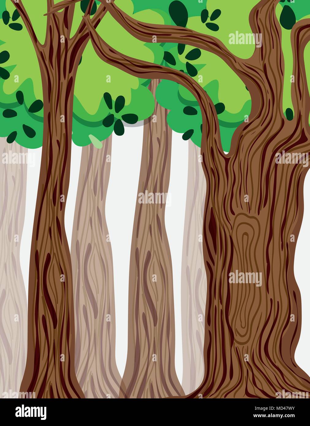 Beautiful forest scenery Stock Vector Image & Art - Alamy