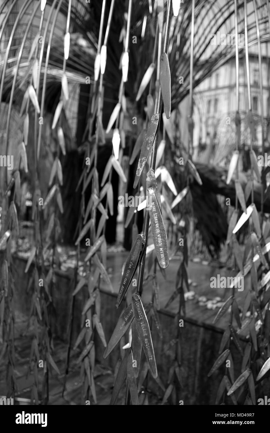 Tree lives Black and White Stock Photos & Images - Alamy