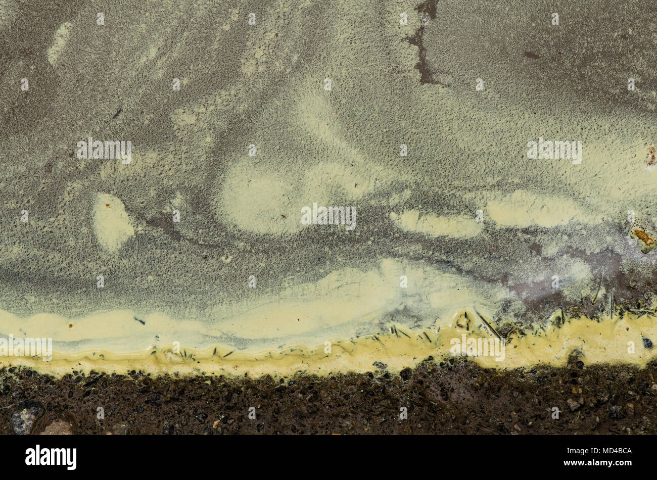 Spring pollen of pines floating in water puddle after rainfall Stock ...