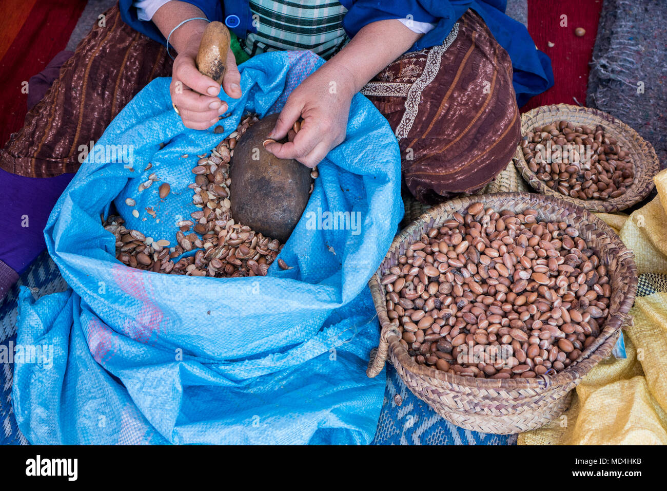 Muslim women making argan oil in traditional way in Morocco ...