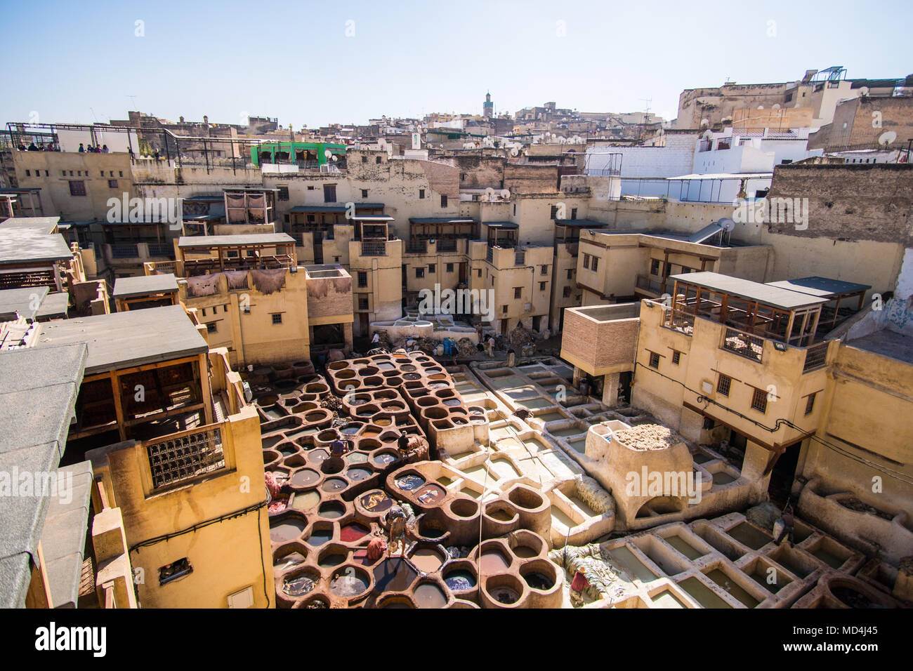 Coloration hi-res stock photography and images - Alamy