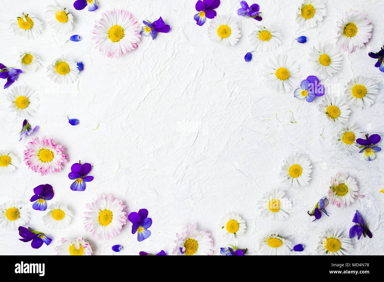 Spring flowers on white background flat lay top view Stock Photo - Alamy
