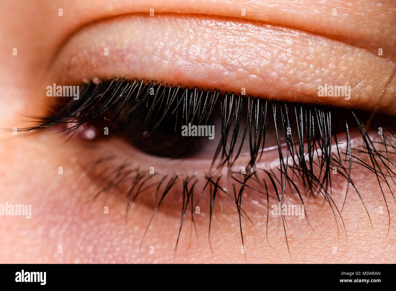 Sight look hi-res stock photography and images - Alamy