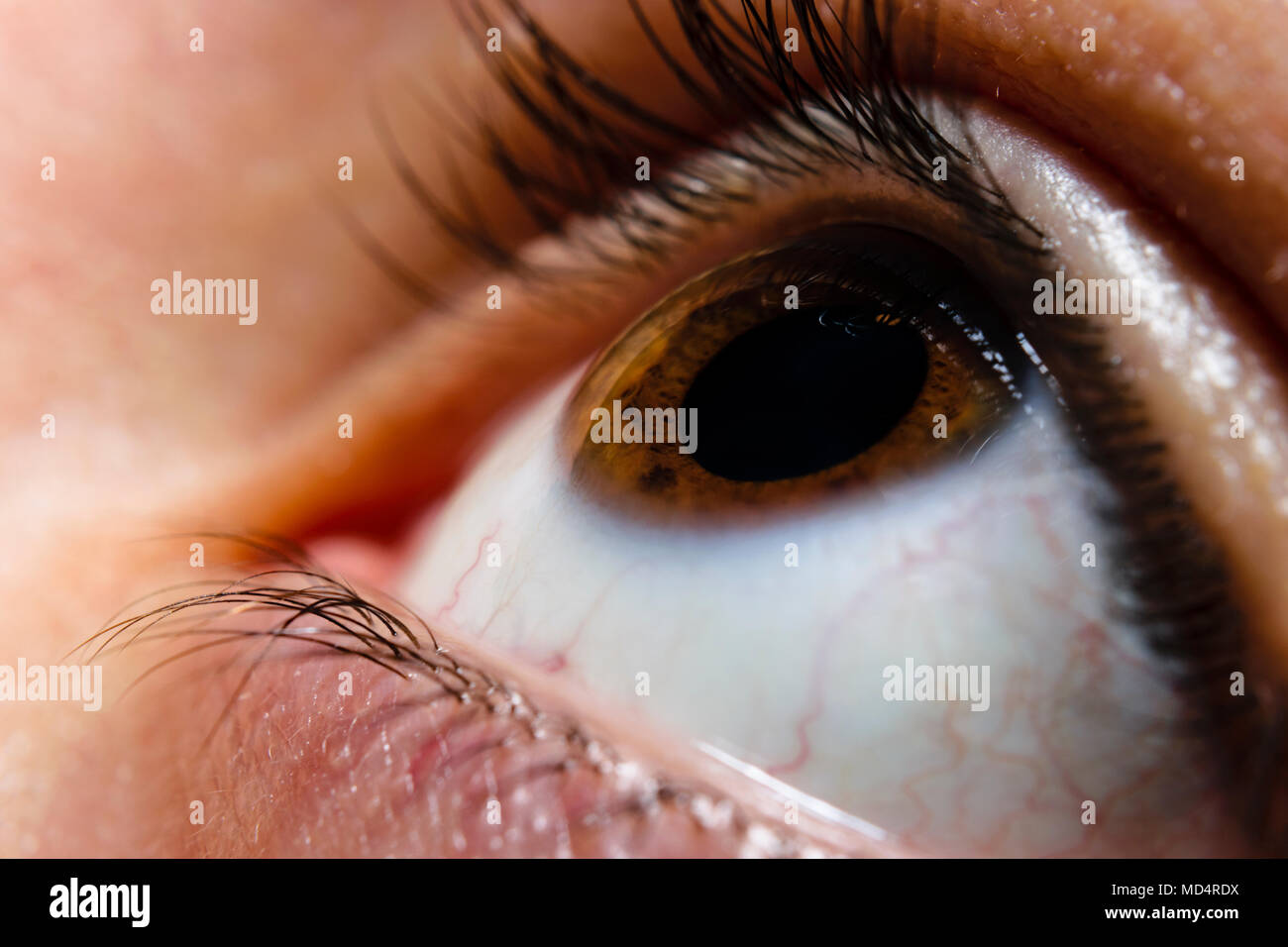 Sight look hi-res stock photography and images - Alamy