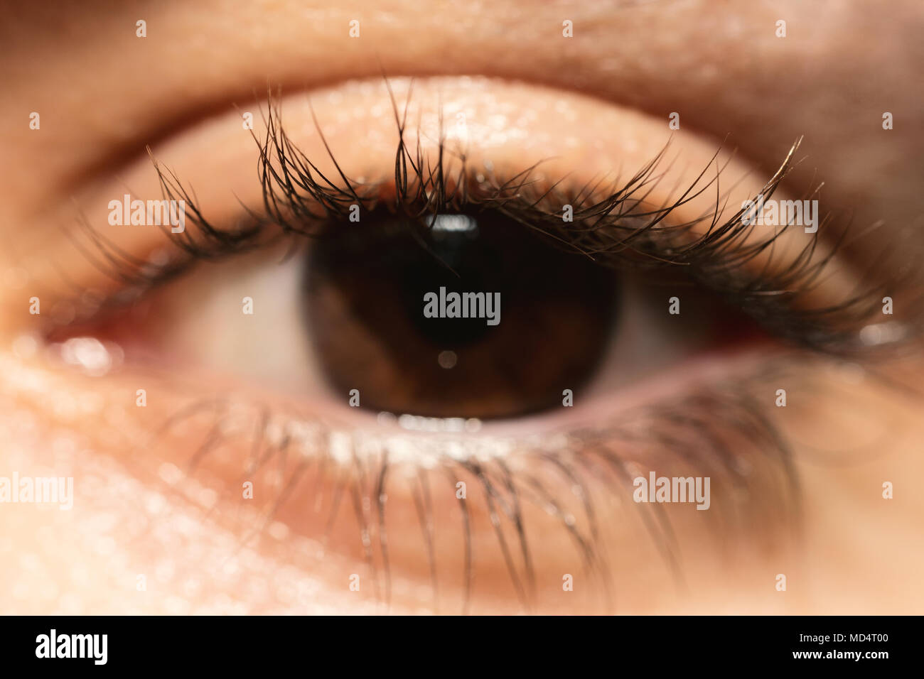 Human eye male close hi-res stock photography and images - Alamy