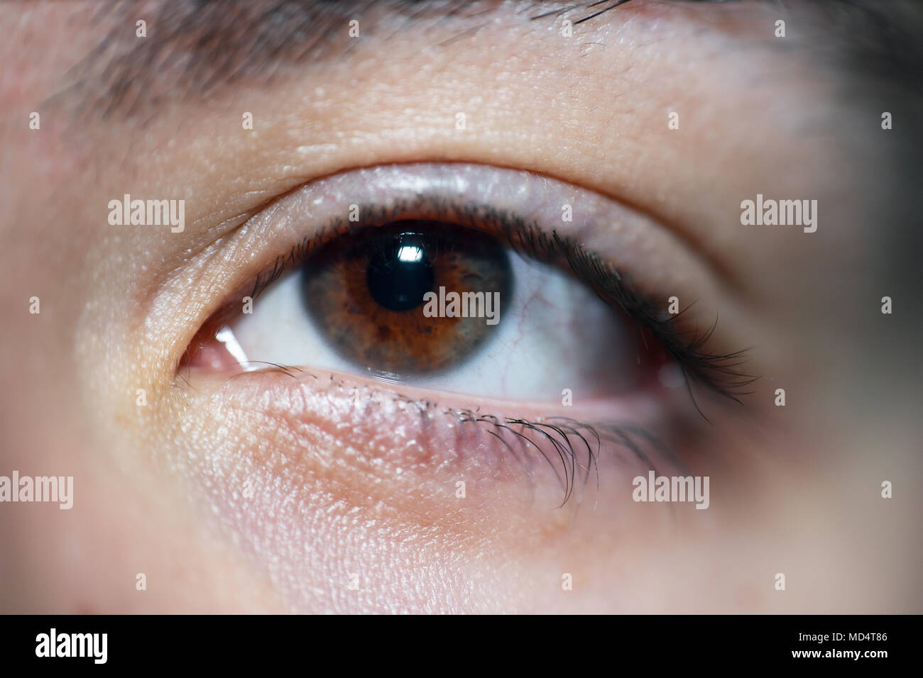 Intricate Female Brown Eye Staring At Camera Stock Photo - Alamy