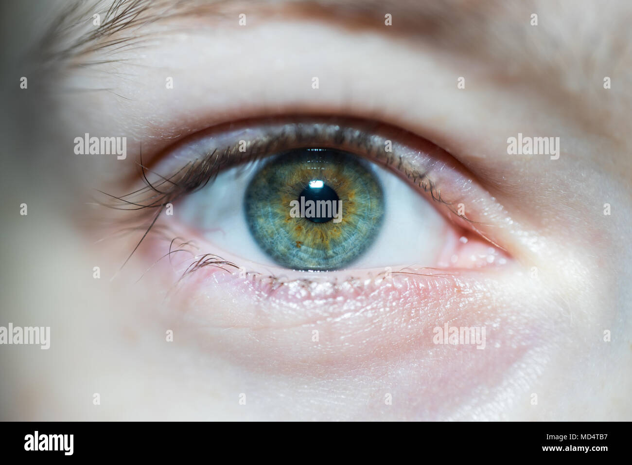 Staring eye hi-res stock photography and images - Alamy