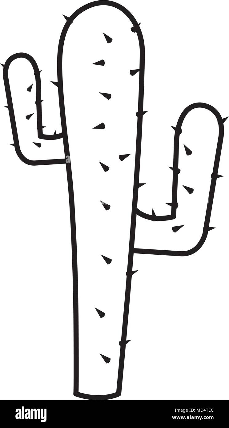 Nopal botanical illustration hi-res stock photography and images - Alamy