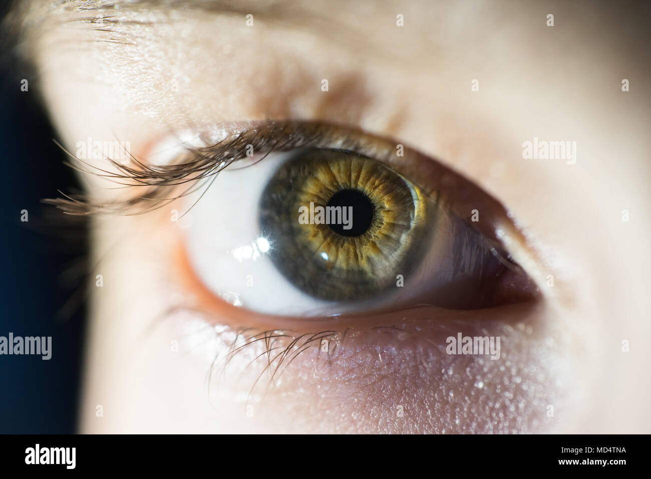 Macro Of Green Female Eye Iris Looking At Camera Stock Photo - Alamy