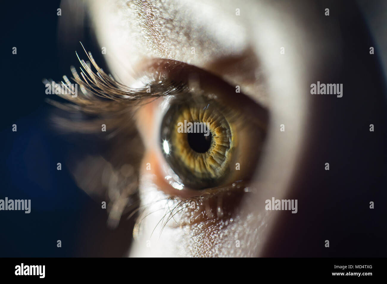 Detailed Macro Of Green Female Eye Iris Stock Photo - Alamy