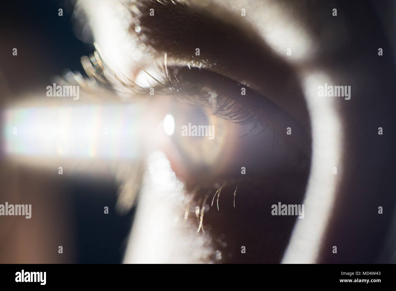 Defocused Close-Up Of Green Female Eye Iris With Lens Flare Stock Photo ...