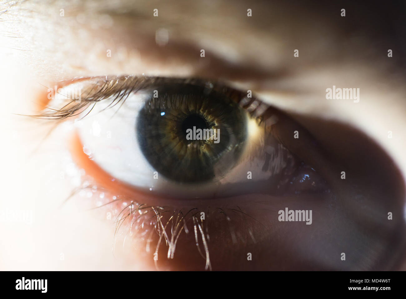 Macro Of Green Female Eye Iris Stock Photo - Alamy