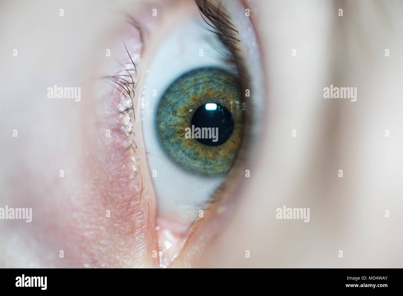 Human eyes looking at camera hi-res stock photography and images - Alamy