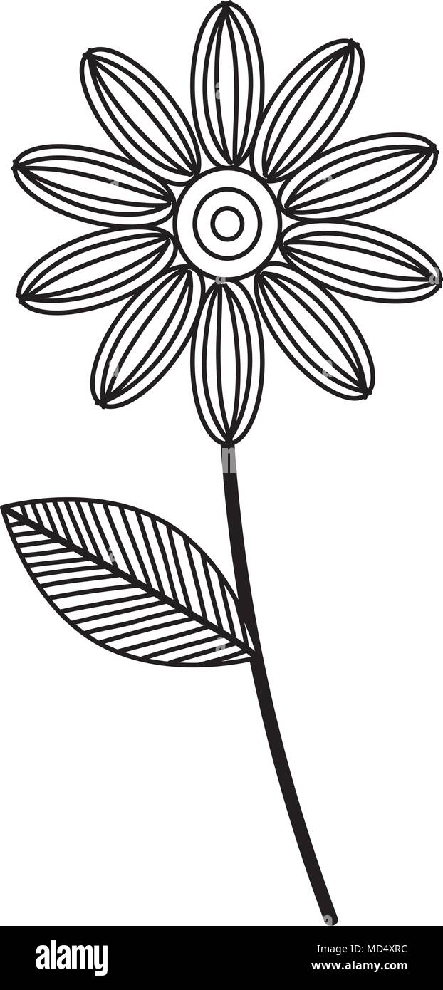 beautiful flower drawing monochrome Stock Vector Image & Art - Alamy