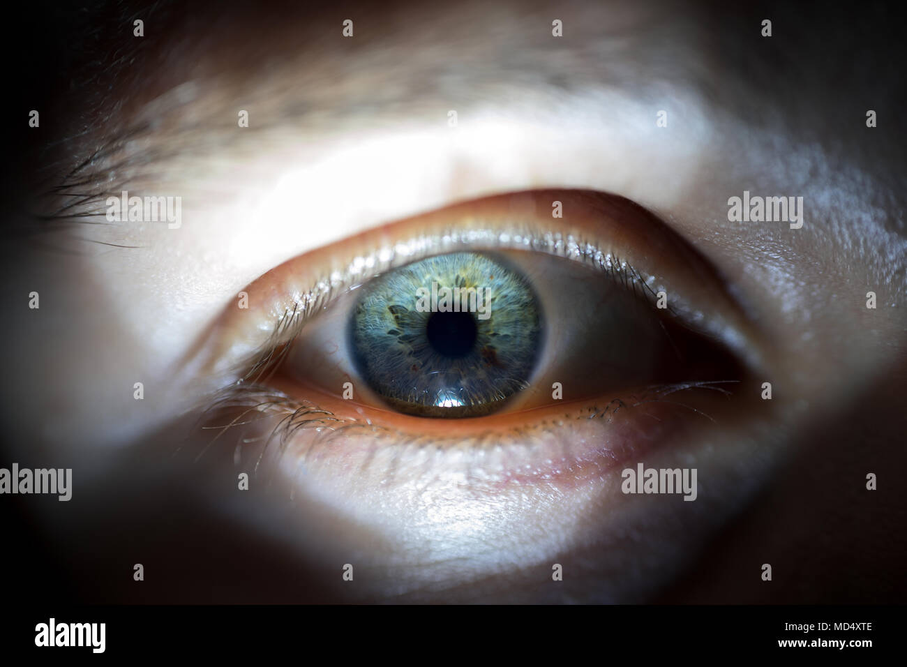 Detailed Macro Of Blue Female Eye Iris Stock Photo - Alamy