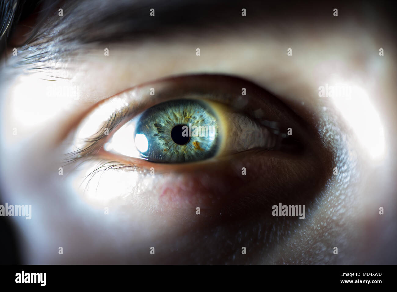 Human blue eye macro hi-res stock photography and images - Alamy