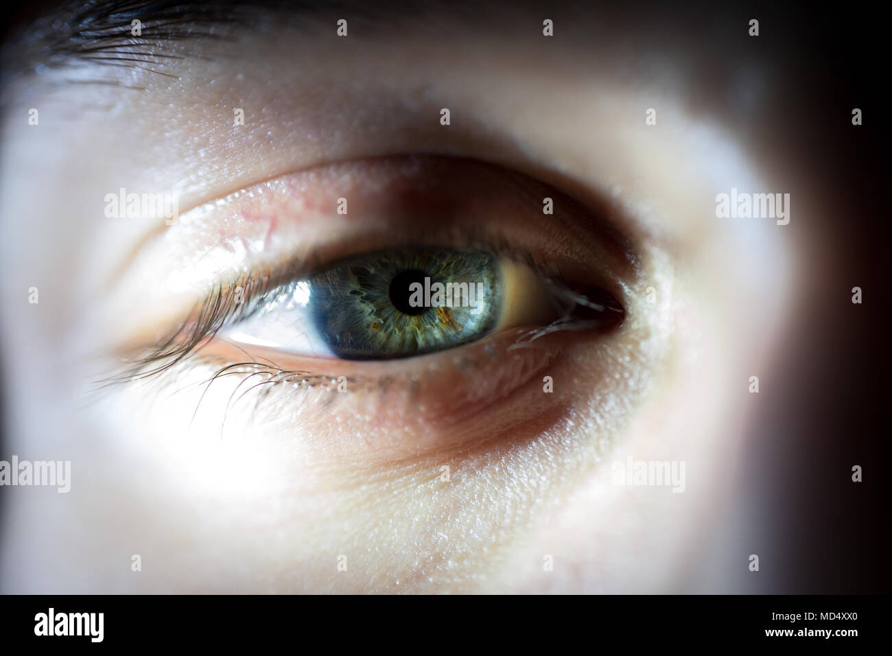 Detailed Macro Of Blue Female Eye Iris Stock Photo - Alamy