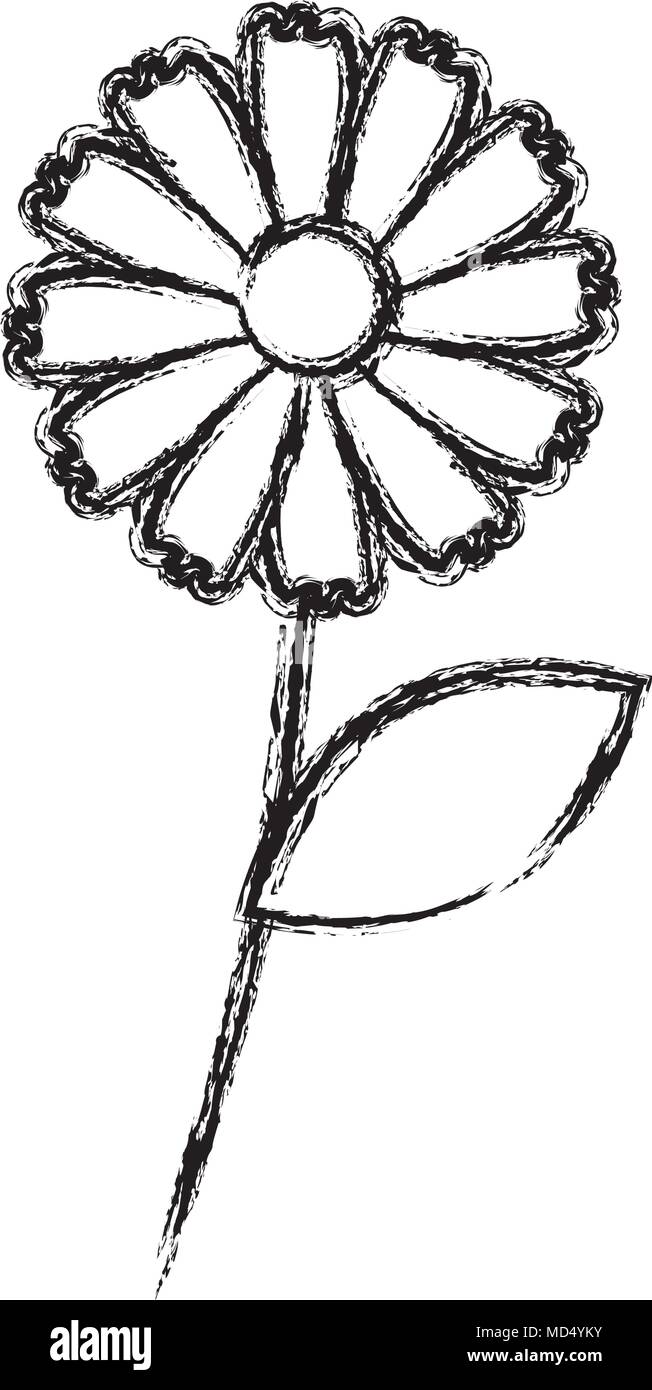 beautiful flower drawing monochrome Stock Vector Image & Art - Alamy
