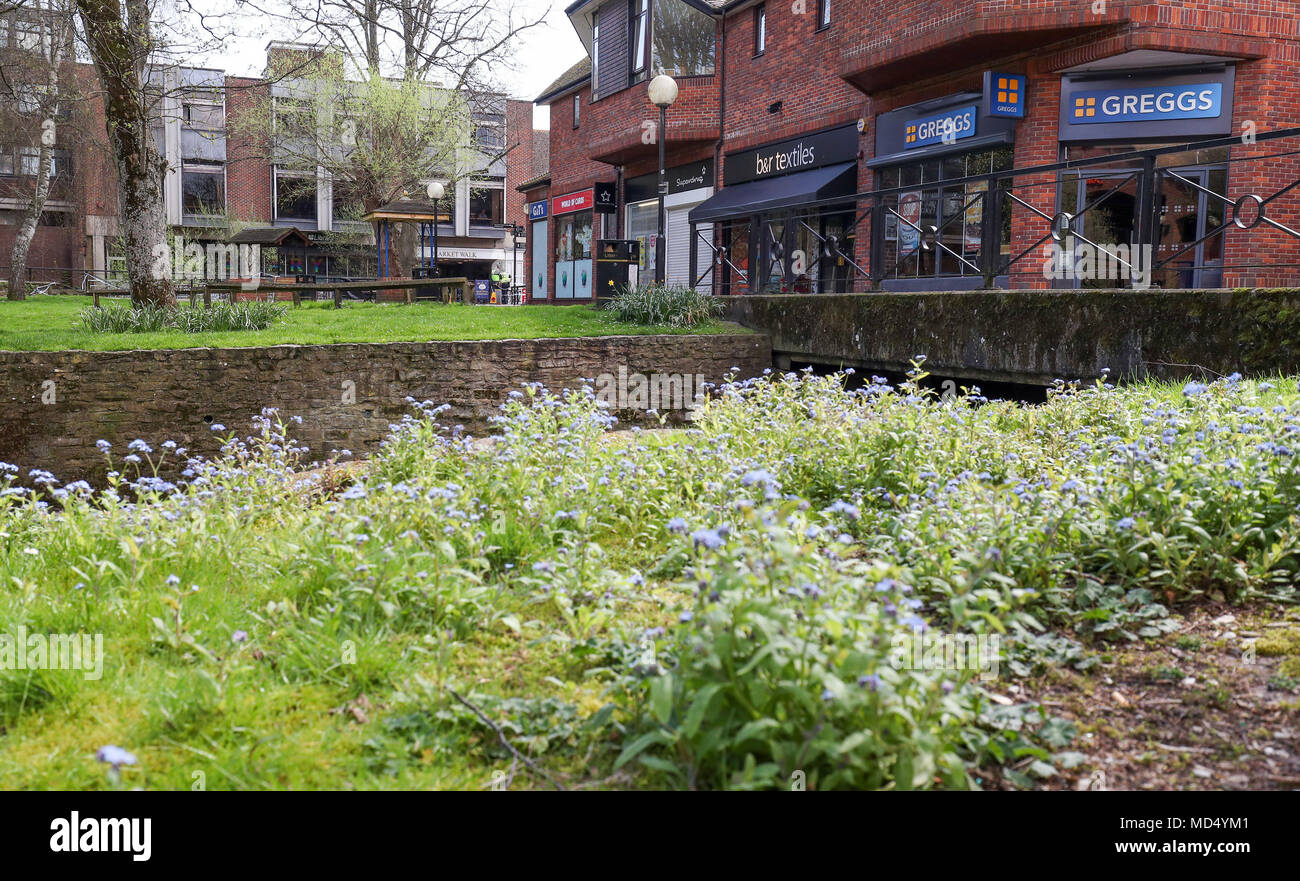 Was found slumped on a bench in salisbury hi-res stock photography and ...