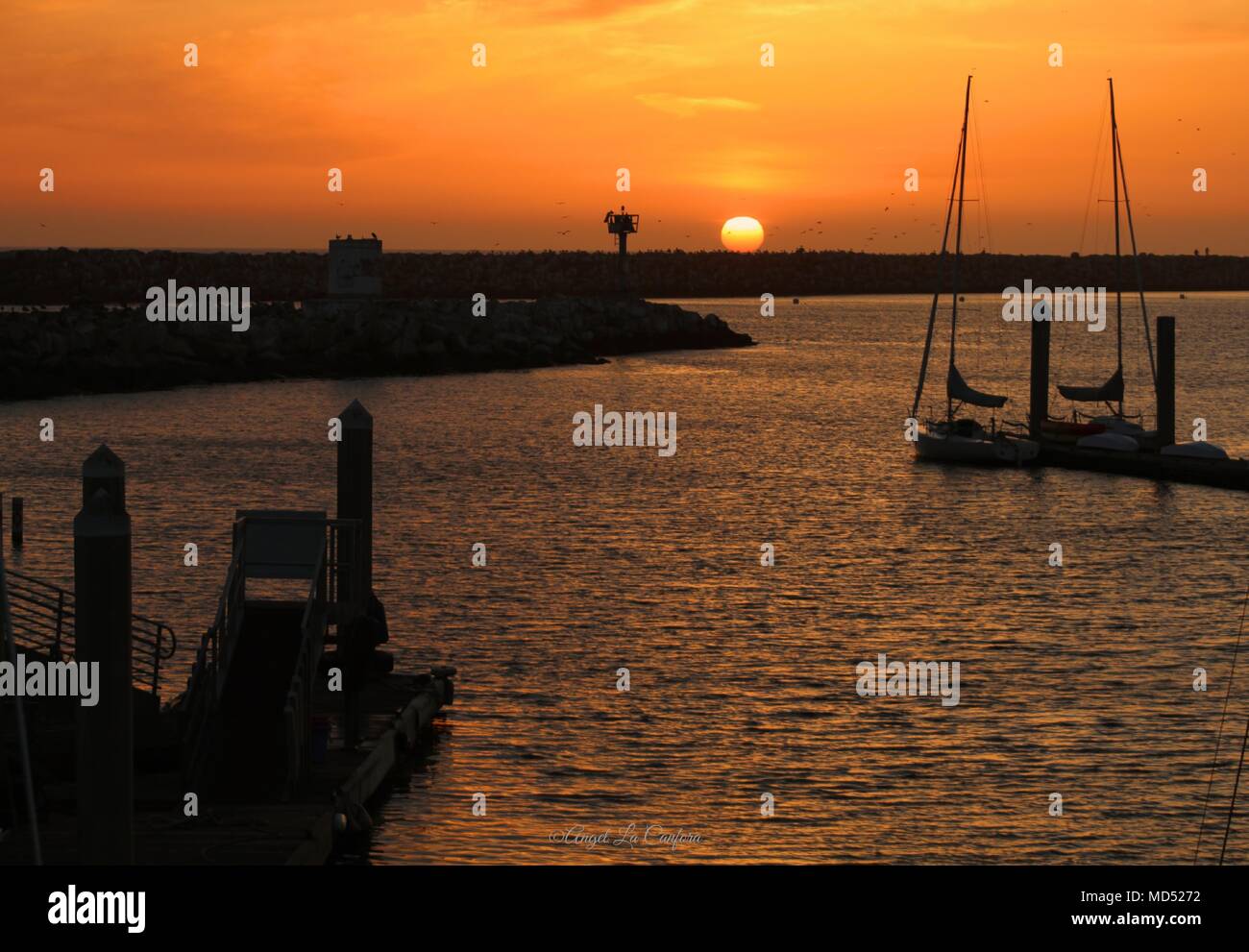 Palm beach docks hi-res stock photography and images - Alamy