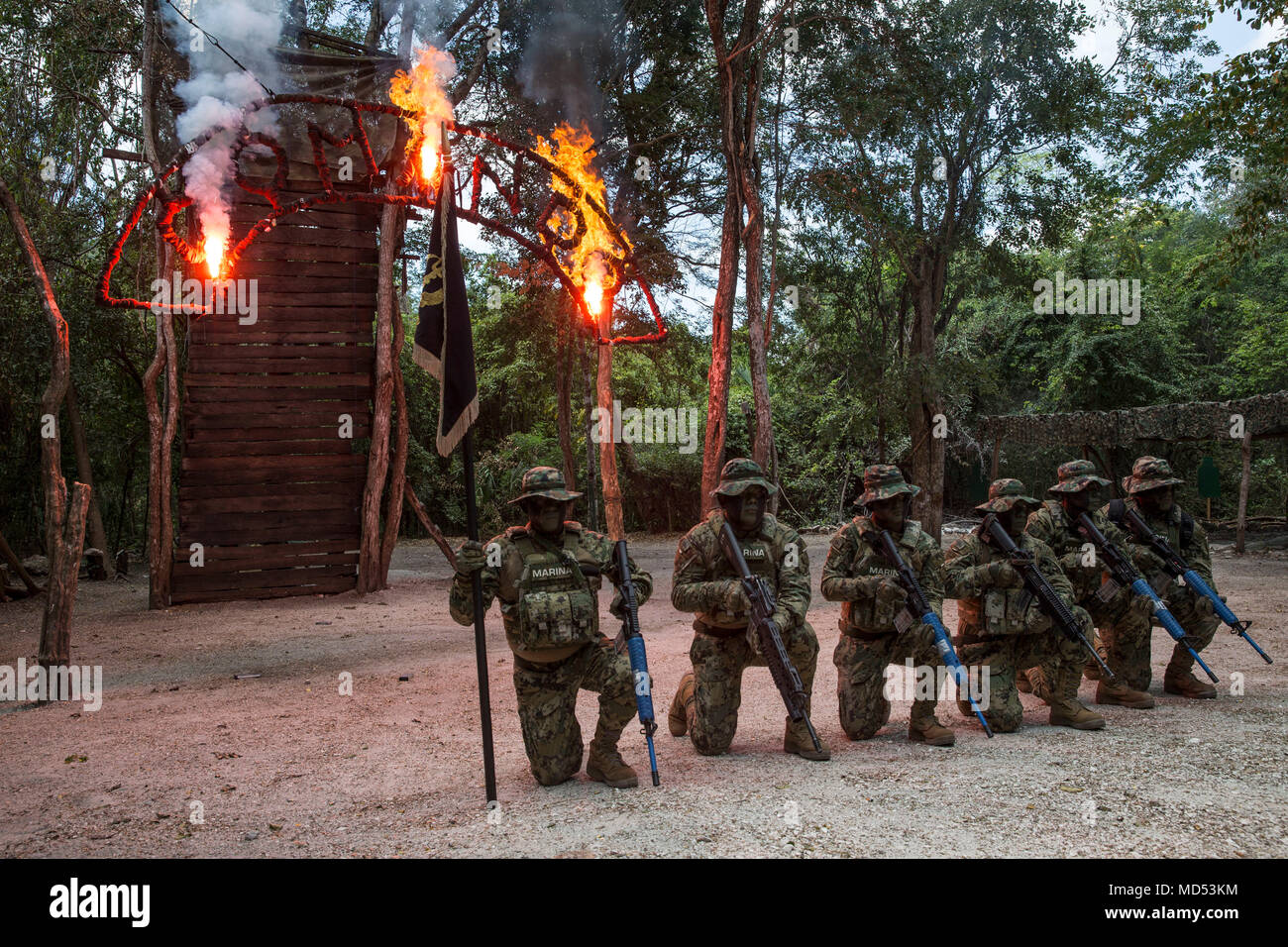 Mexican Infanteria De Marinas put on a display for leaders from several ...