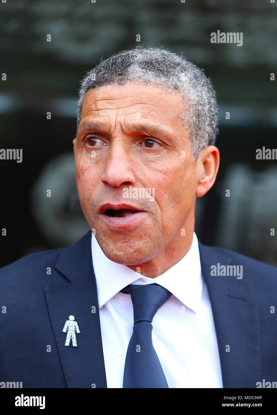 Brighton & Hove Albion manager Chris Hughton Stock Photo - Alamy