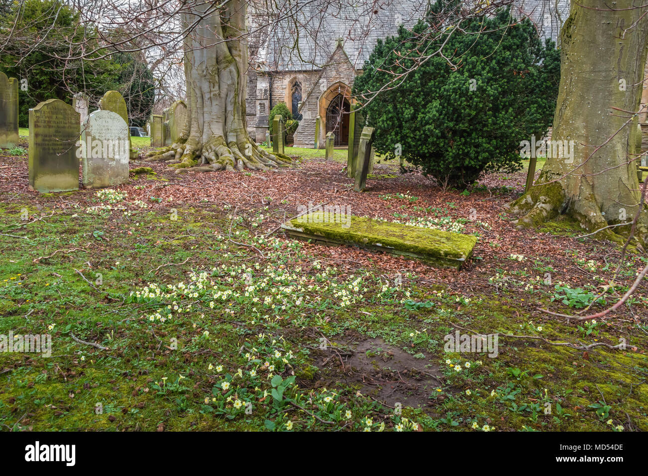The primrose tomb hi-res stock photography and images - Alamy