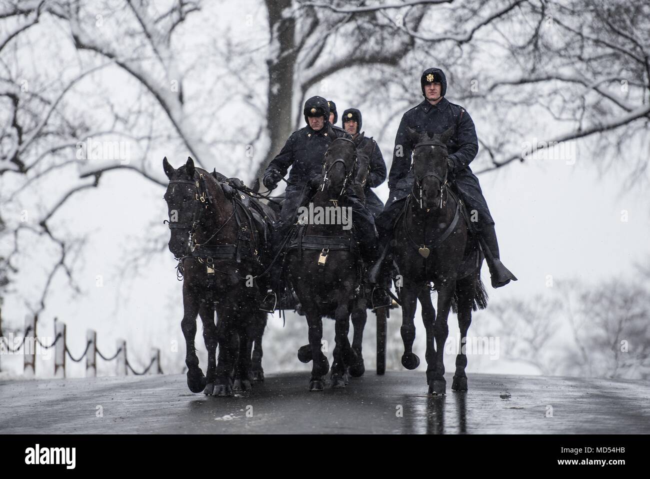 Soldiers assigned to the U.S. Army Caisson Platoon, 1st Battalion, 3d U ...