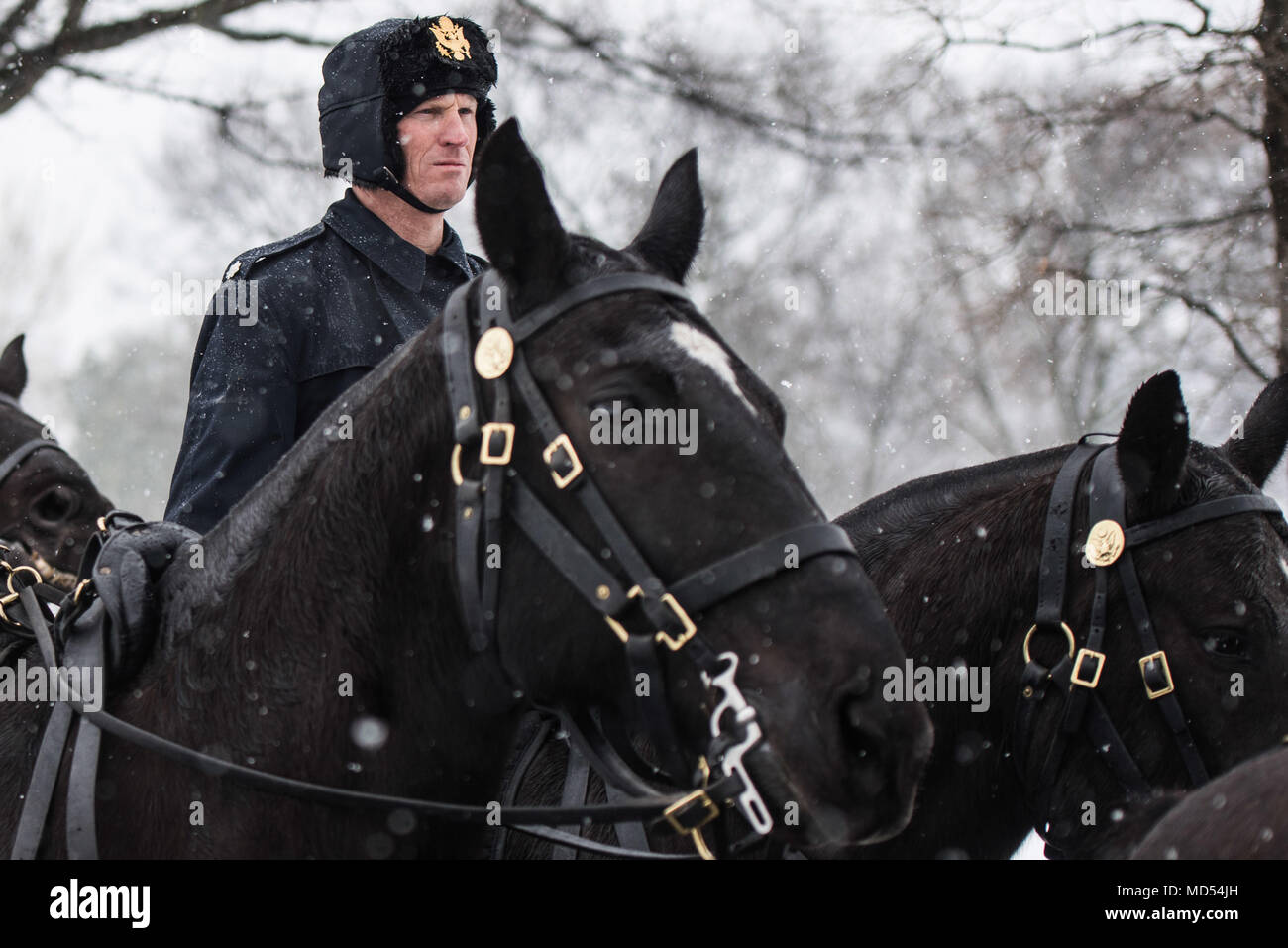 Soldiers assigned to the U.S. Army Caisson Platoon, 1st Battalion, 3d U ...