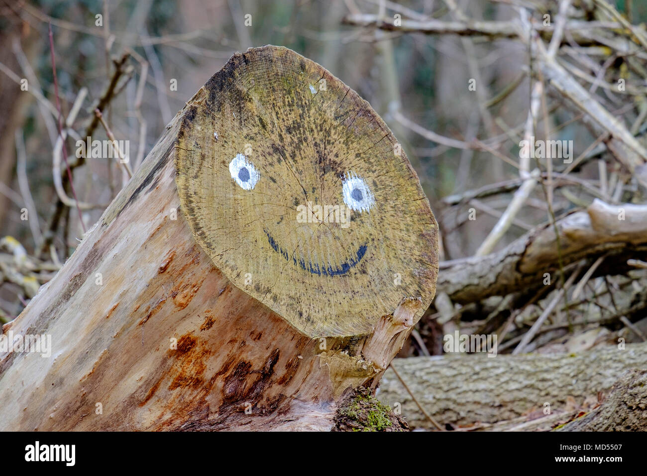 Rough faces hi-res stock photography and images - Alamy
