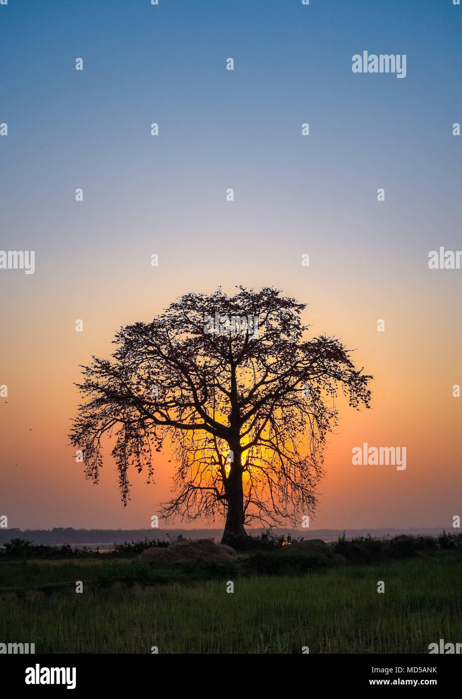 The Sources of Life Stock Photo - Alamy