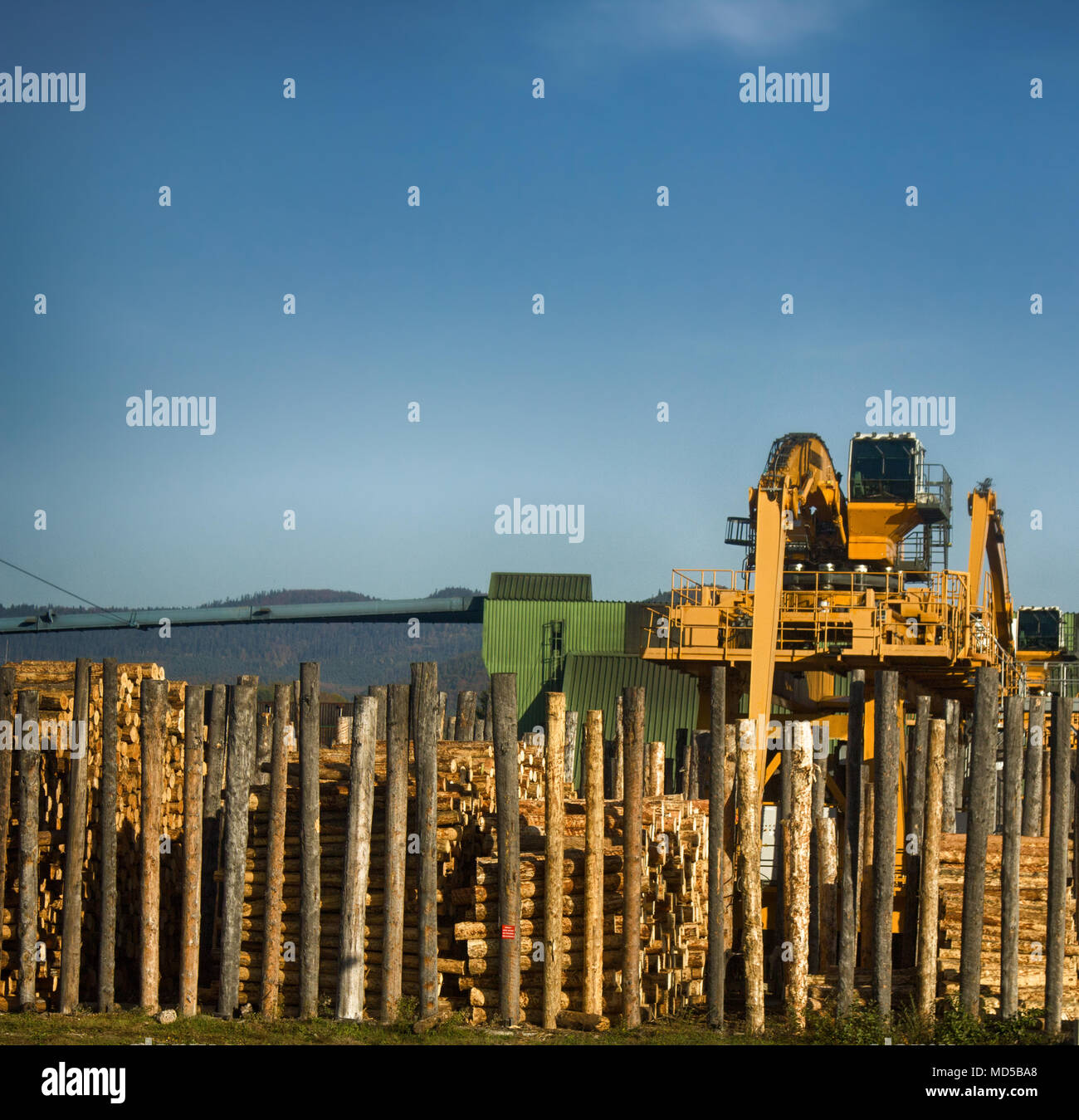 The company processing of roundwood. Sawmill, lumber mill. France ...