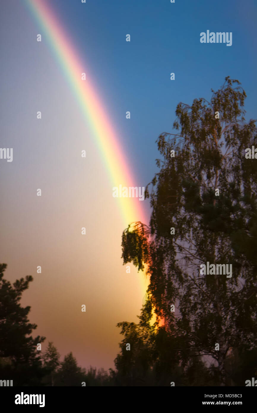 Higher Order Rainbow