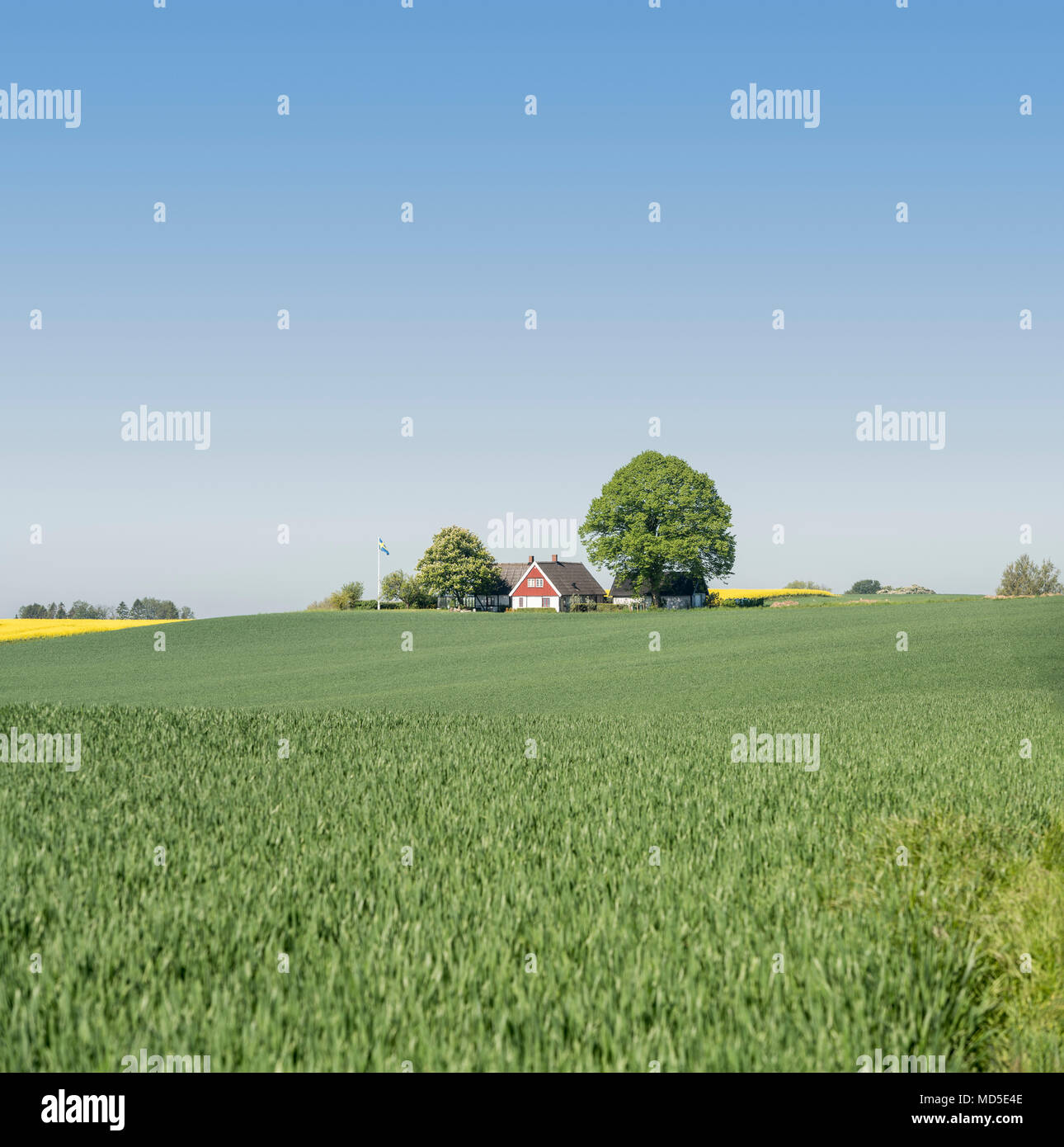 Farm house at beautiful rural landscape, Skane, Sweden, Scandinavia ...