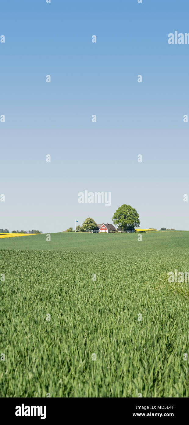 Farm house at beautiful rural landscape, Skane, Sweden, Scandinavia ...