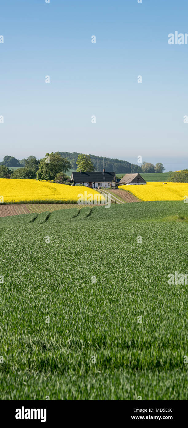 Farm house at beautiful rural landscape, Skane, Sweden, Scandinavia ...