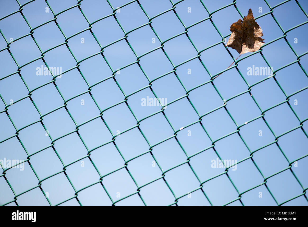 Chain Link Fence with a Blue Sky Background Stock Photo - Alamy