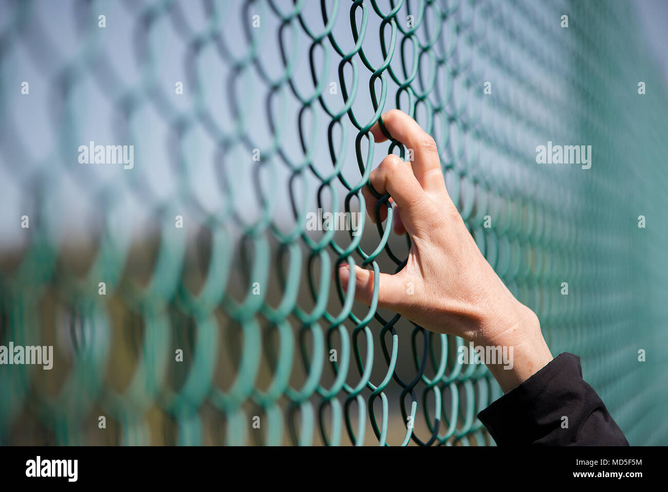 Seamless woman iron in hands hi-res stock photography and images - Alamy