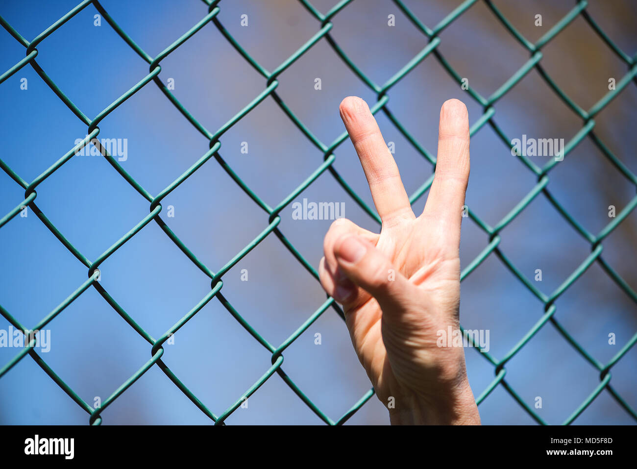 Seamless woman iron in hands hi-res stock photography and images - Alamy