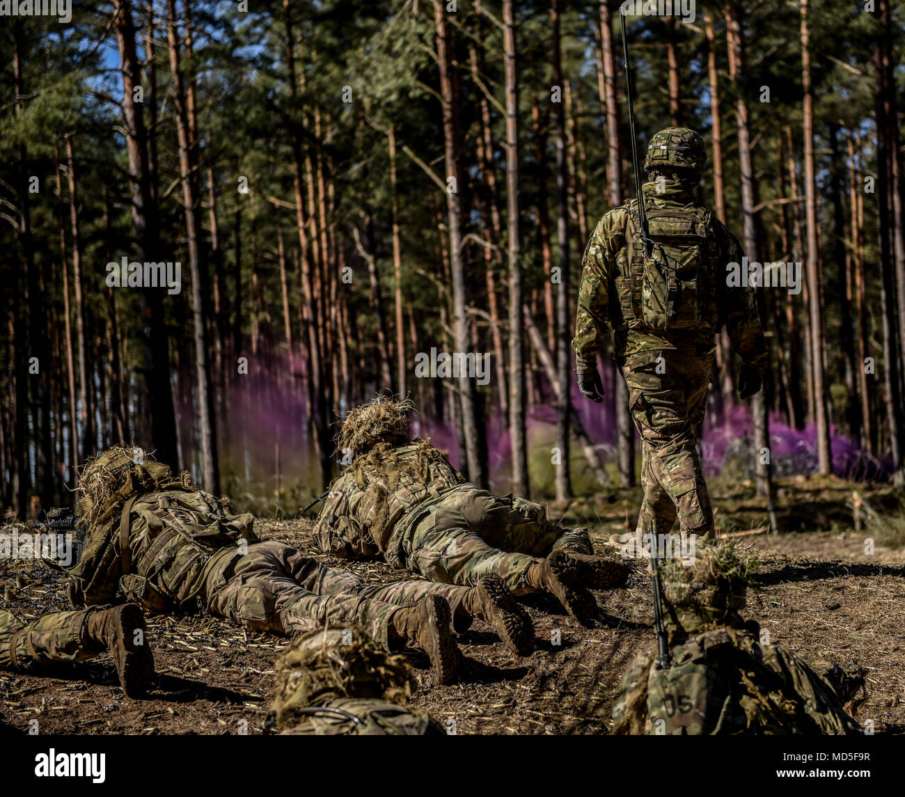 Sky Soldiers from the 2nd Battalion of the 503rd Infantry Regiment get ...
