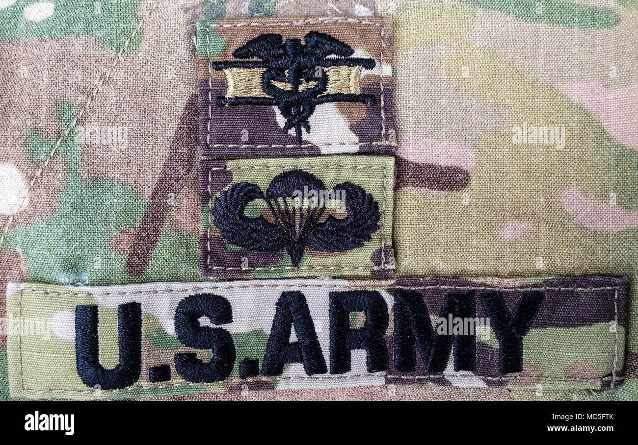 The U.S. Army Expert Field Medical Badge atop the U.S. Army ...