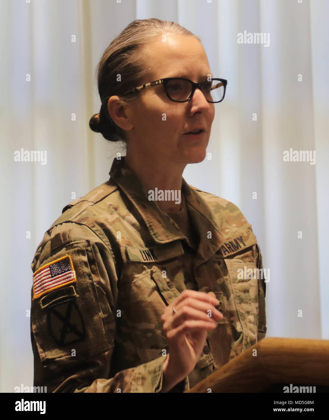 Col. Michelle Link, commanding officer for the 372nd Engineer Brigade ...