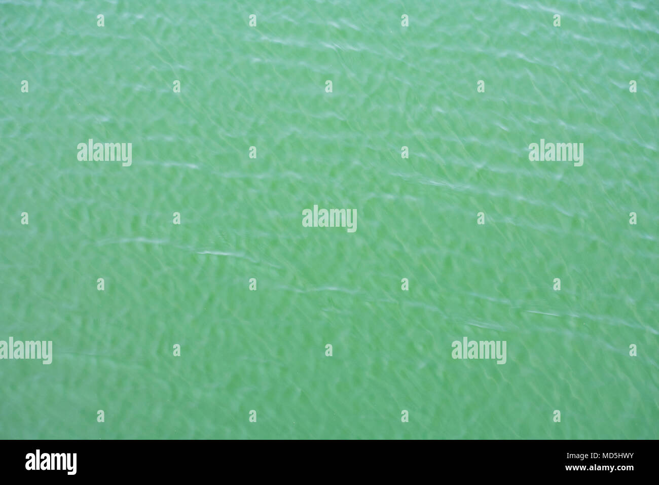 lake small tide looking beautiful a summer day with blue water Stock ...