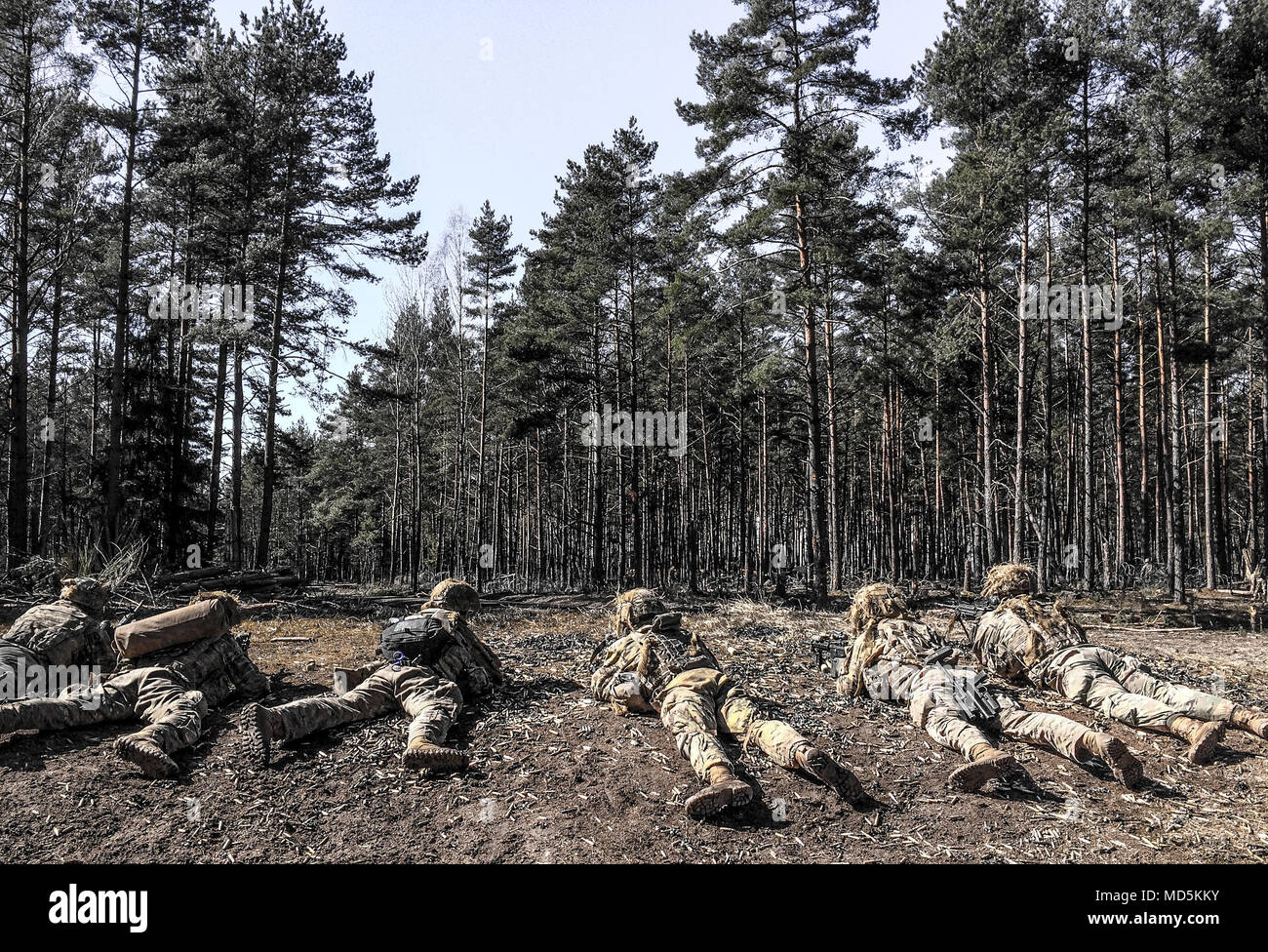 Paratroopers are pouring heavy fire into the enemy from a support by ...