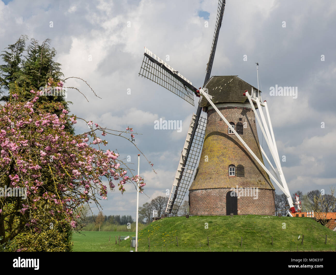 Rekken in the netherlands Stock Photo - Alamy