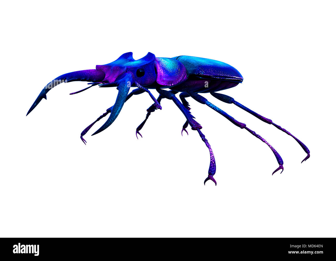 Blue stag beetle hi-res stock photography and images - Alamy