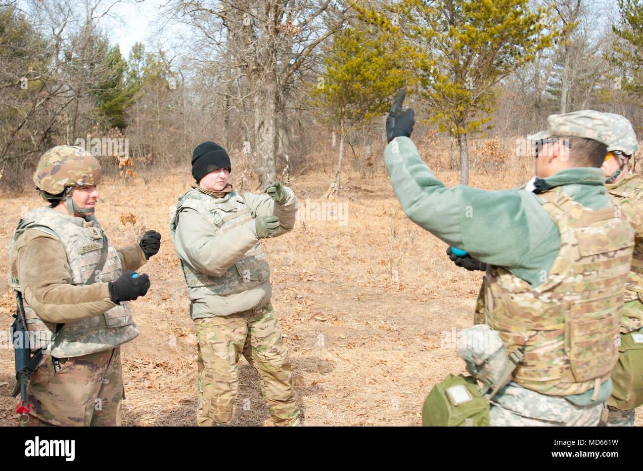 Soldiers from the 399th Combat Support Hospital, 804th Medical Brigade ...