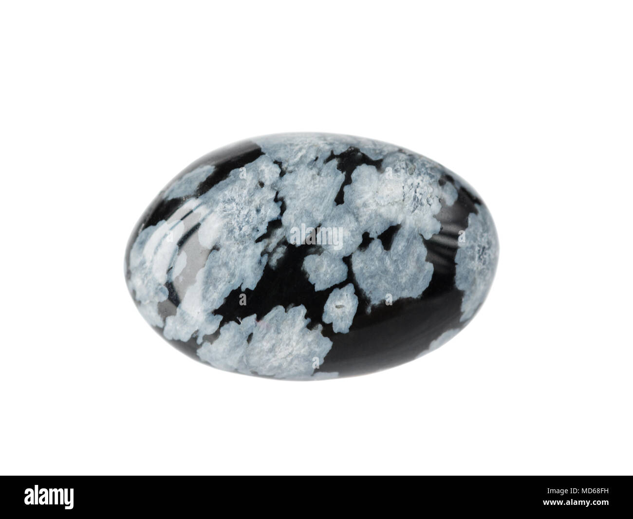 Black and white natural rock Snow Obsidian isolated on white background ...